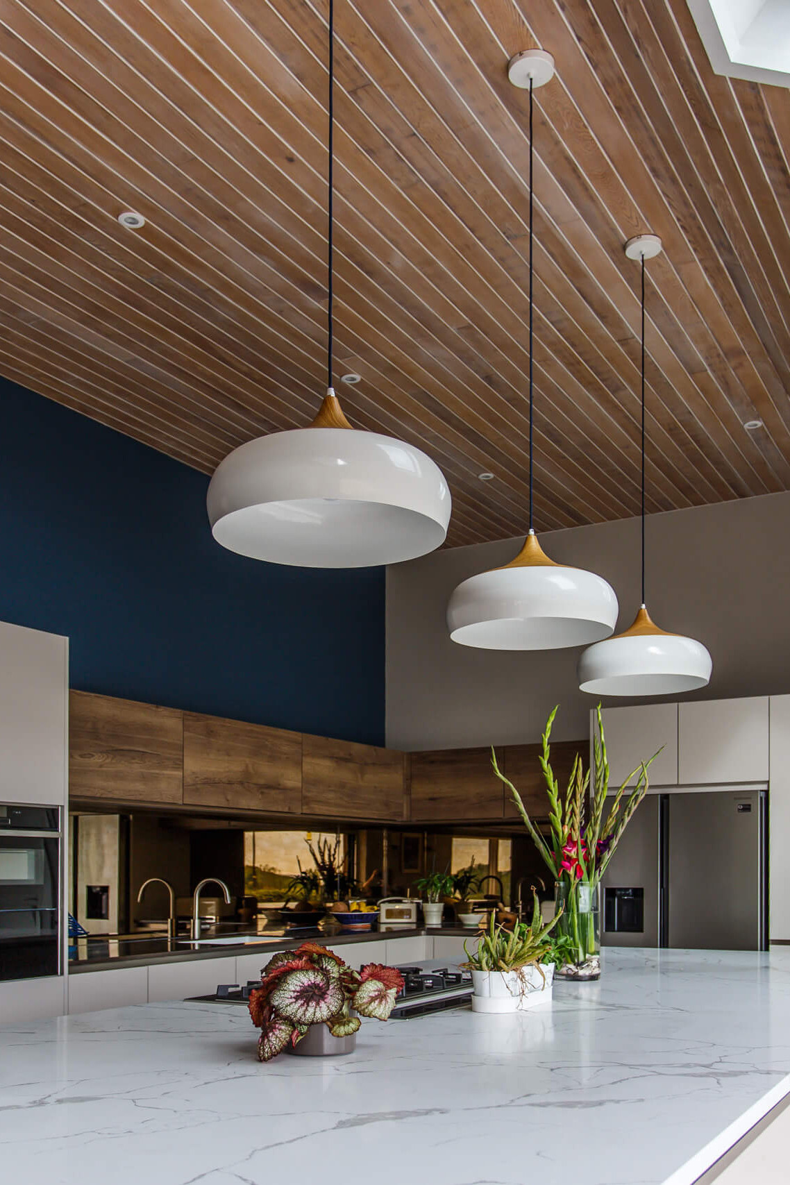 Contemporary Renovation - Portrait Kitchens